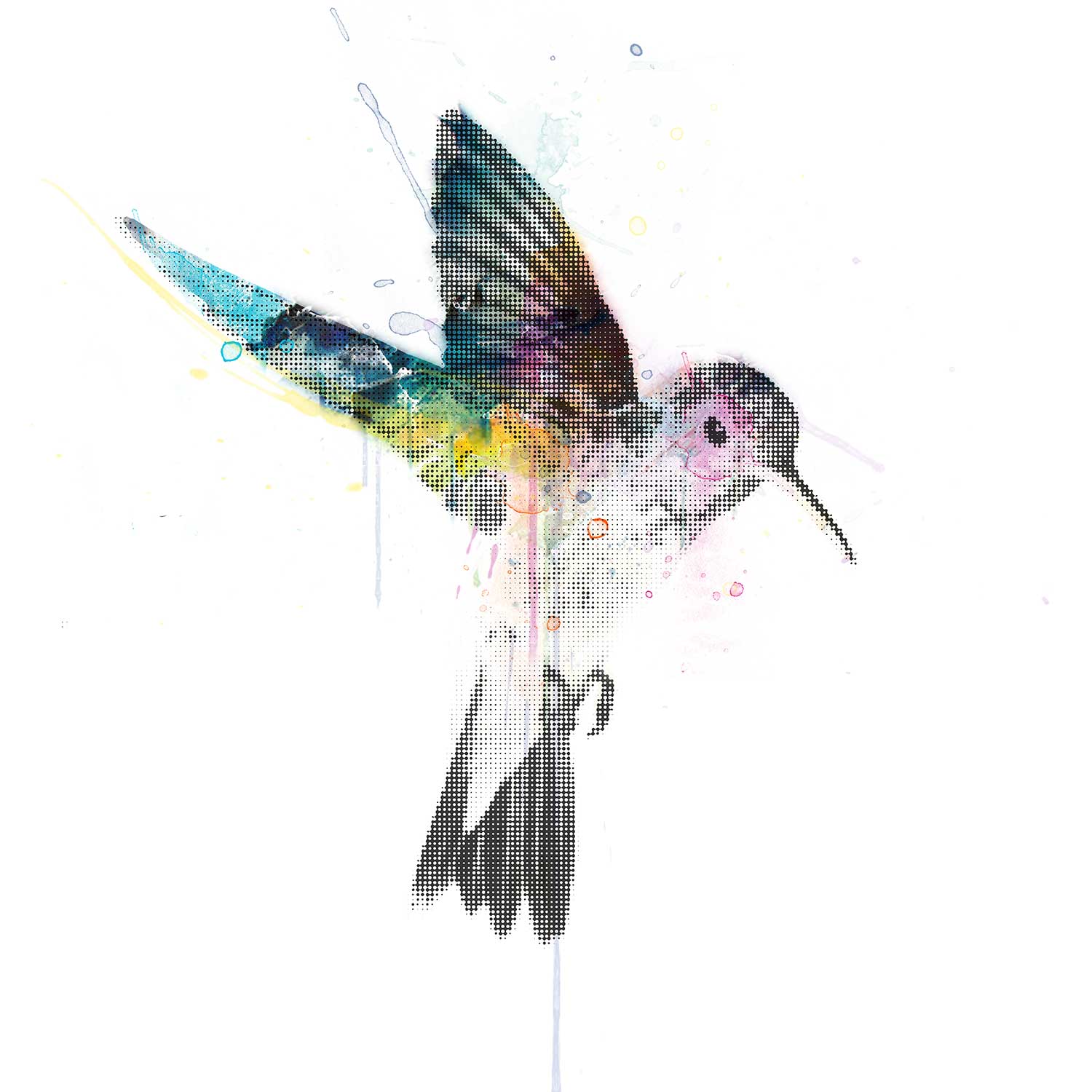 Hummingbird Patterns To Paint