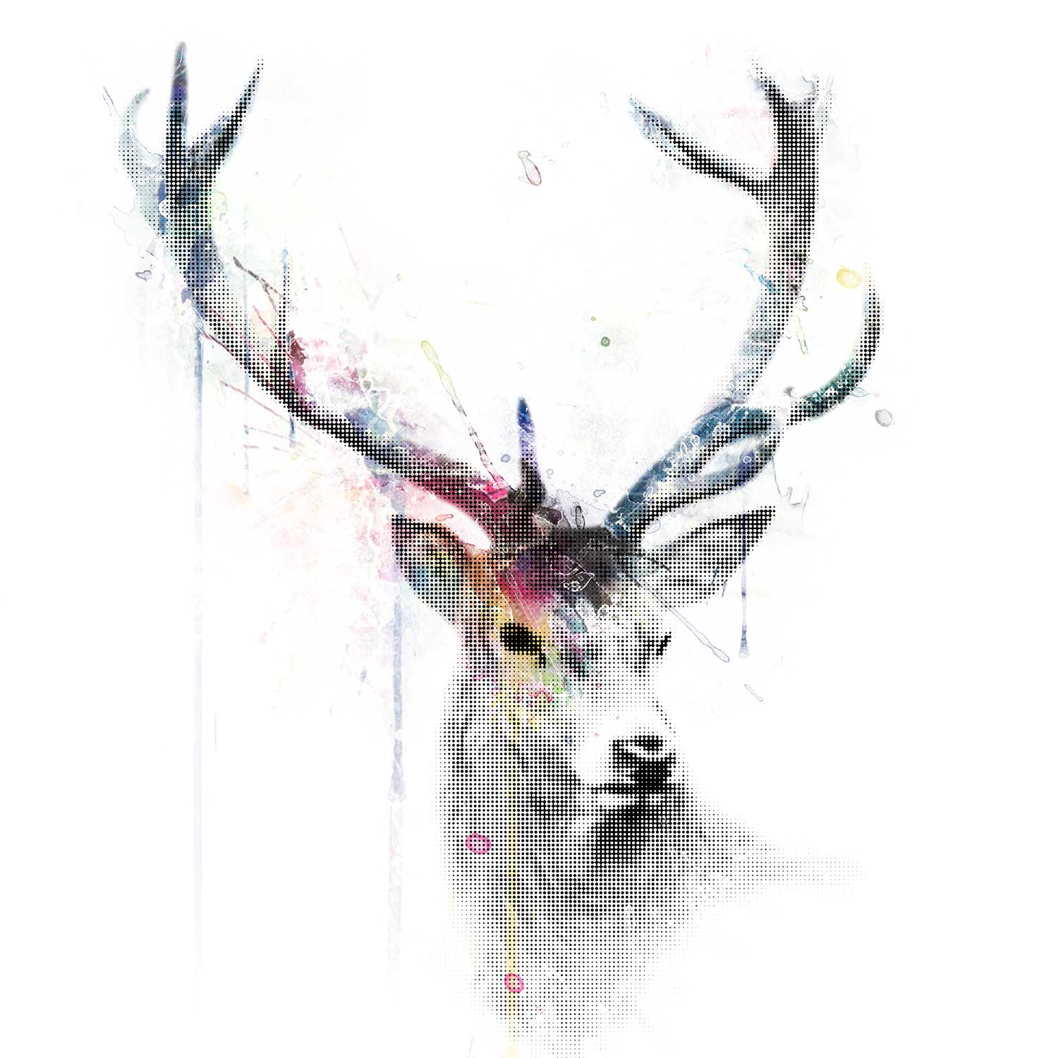 VeeBee Art & Design - veebee -stag - signed print